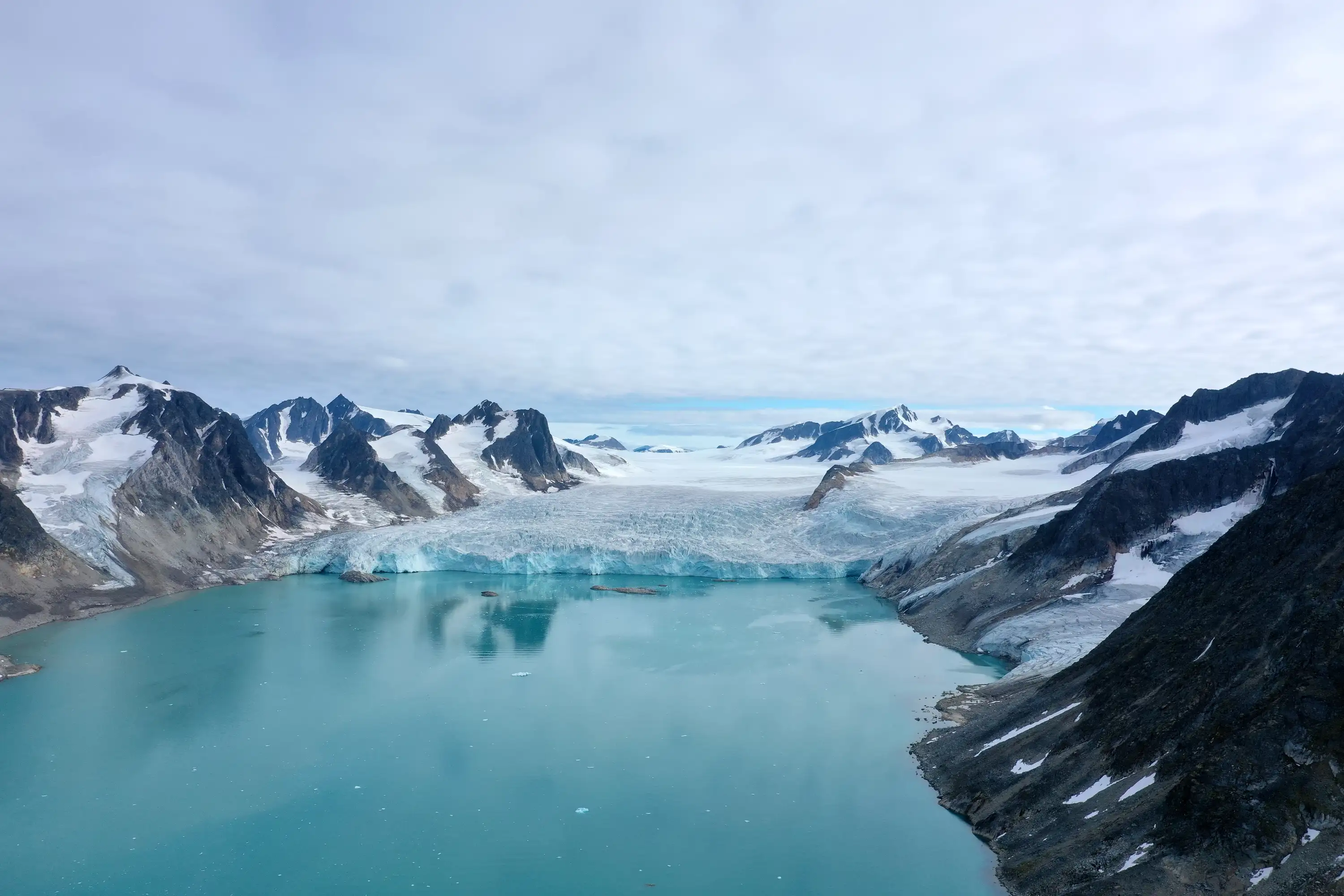 The Living Ice Project